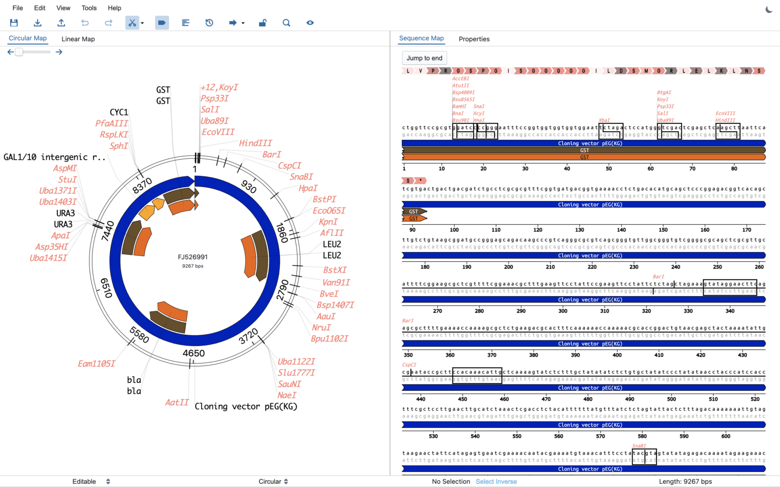 TeselaGen Biotechnology Launches Starter Edition for Small Groups to ...